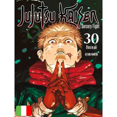 Jujutsu Kaisen 29 E 30 + Box Per Contenere La Serie