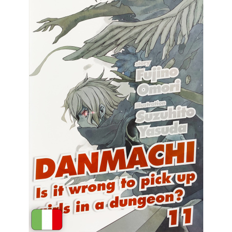 DanMachi Light Novel 11