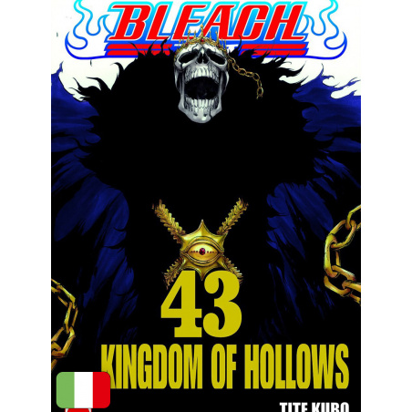 Bleach 43